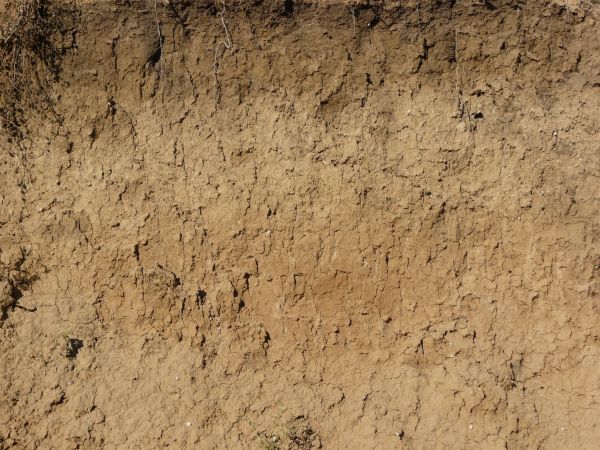 grey brown dirt texture 0052 - Texturelib